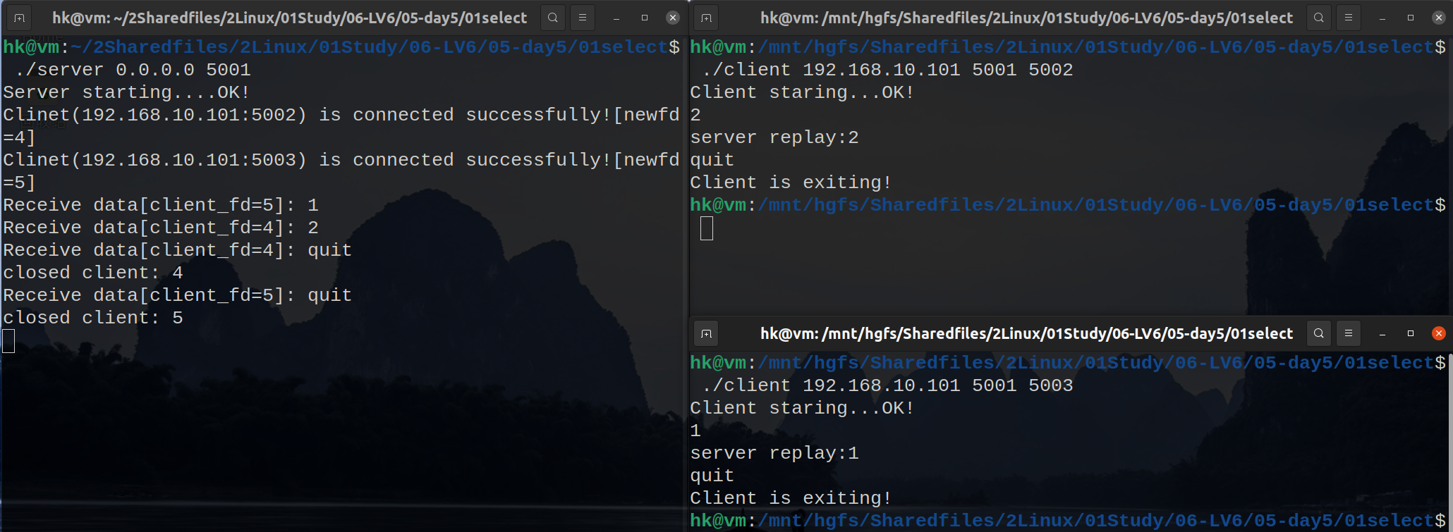LV06-03-网络编程-07-多路复用IO-01-select | 苏木