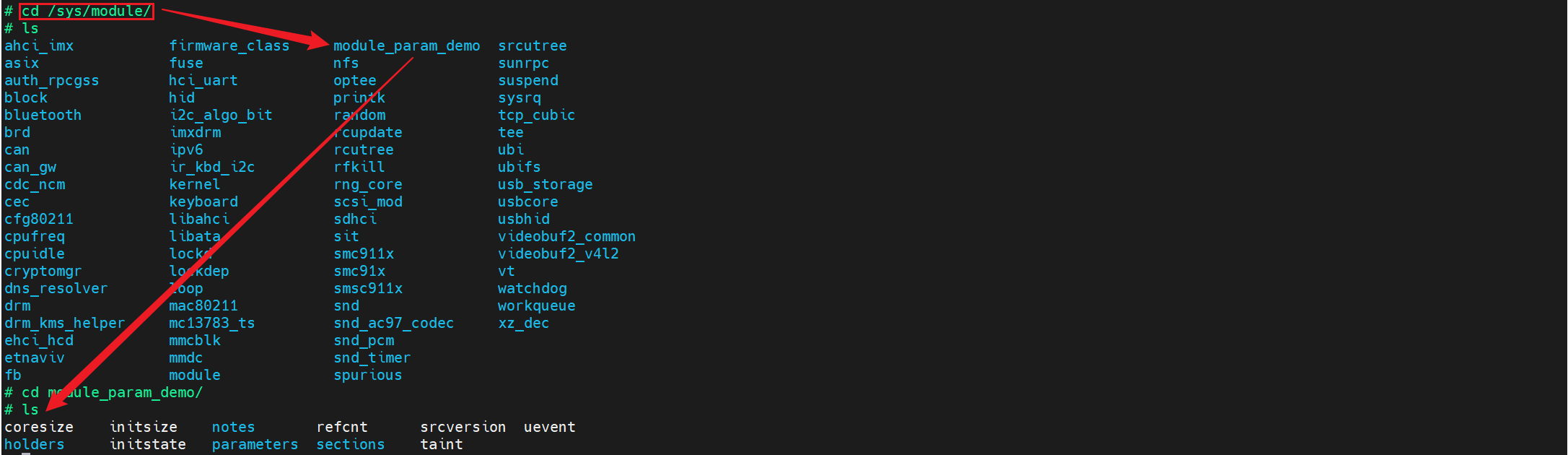 LV06-02-内核模块-07-内核模块参数传递 | 苏木