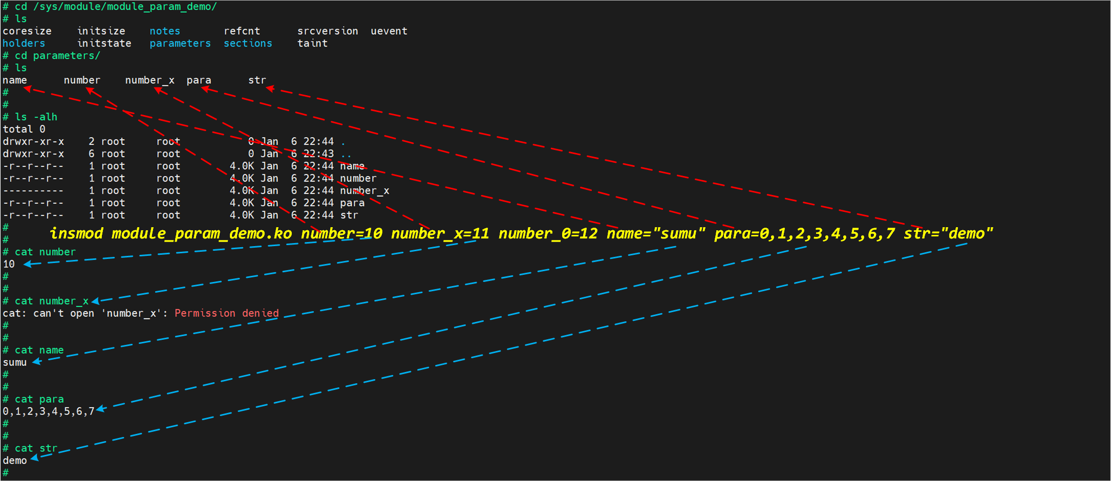 LV06-02-内核模块-07-内核模块参数传递 | 苏木